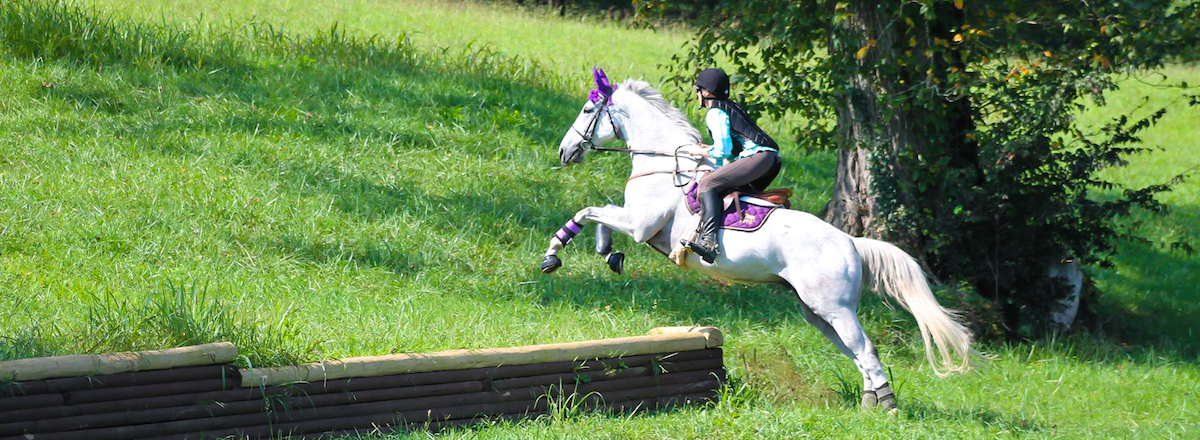 Contact | AC Shilton